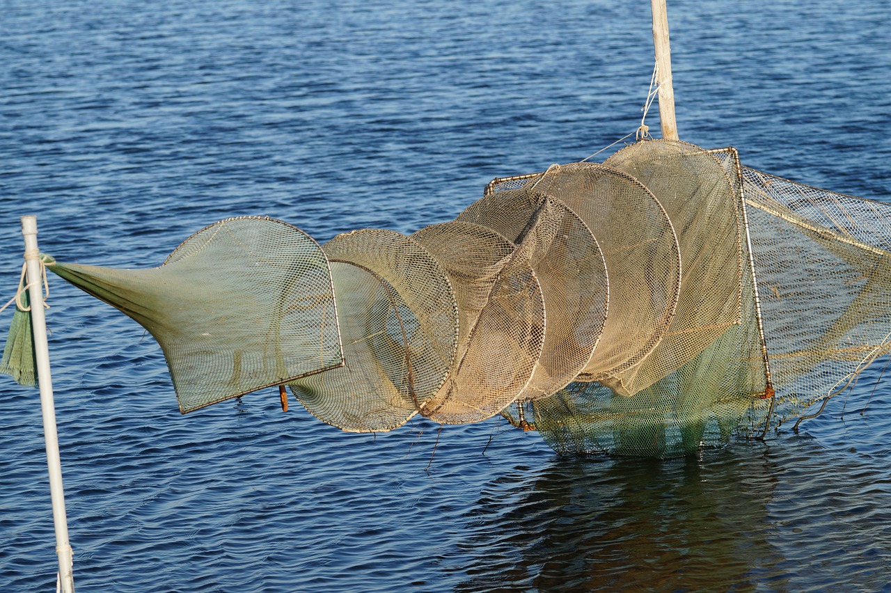 Börtönbüntetésre ítélhetik – engedély nélkül, 35 méteres halászhálóval ...